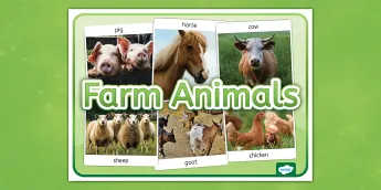 Agricultural Sciences | twinkl.co.uk