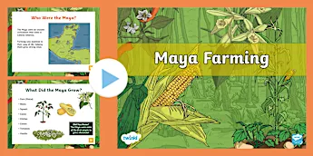 Ancient Maya Resources | twinkl.co.uk