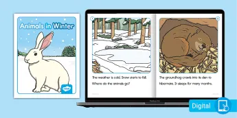 Animals in Winter | twinkl.com
