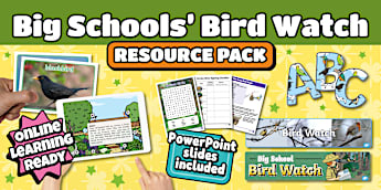 Big Schools' Birdwatch | EYFS Bird Activities & Resources
