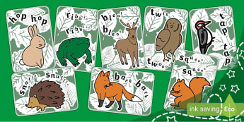 Woodland Animals | Forests | KS1 Resources | Twinkl - Twinkl