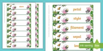 Parts of Flowers | twinkl.co.uk