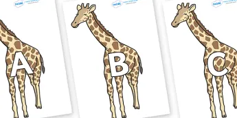 Giraffe Educational Resources | twinkl.co.uk