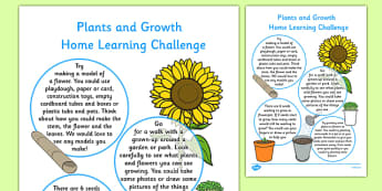 Home Learning | Teacher Organisation | EYFS | Twinkl