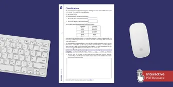 Classification Worksheets | twinkl.co.uk