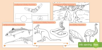 Colouring Pages - Aboriginal and Torres Strait Islander Peoples - HASS