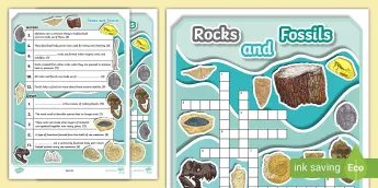 Fossils Activities | twinkl.co.uk