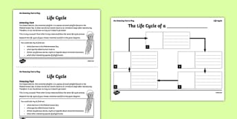 Life Cycles Mammals Amphibians Insects Birds | KS2 Science