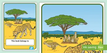 Cheetah Resources | twinkl.co.uk