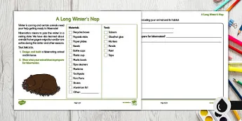 Hibernation Science Activities | twinkl.co.uk