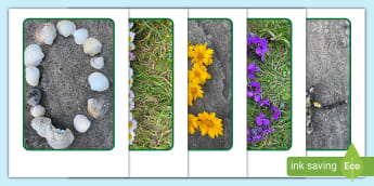 Nature Themed Displays Displays - New Academic Year - Early Learning and