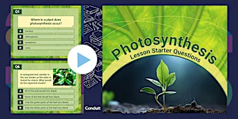 Photosynthesis Resources | twinkl.co.uk