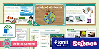 Biodiversity Lesson Plans | twinkl.com.au