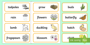 Spring Word Cards | twinkl.com.au