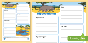 Hippopotamus Activities | twinkl.co.uk
