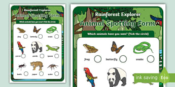 Jungle and Rainforest Activities KS1 | Primary Resources