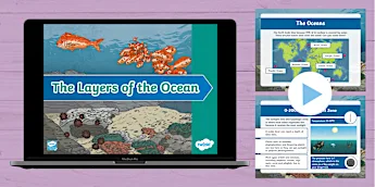 Marine Biology PowerPoints | twinkl.co.uk