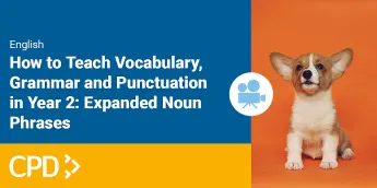 Grammar Lessons | twinkl.co.uk