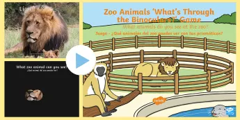 Zoo Animals PowerPoints | twinkl.co.uk