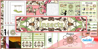 Insect Art Projects | twinkl.co.uk