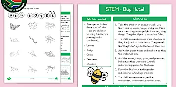 Preschool Science Experiments | twinkl.ca