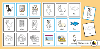 Visual Discrimination Activities | twinkl.com