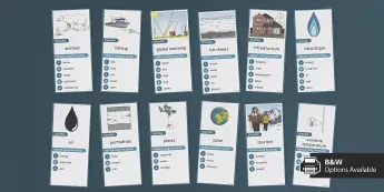 Cold Environments Geography | twinkl.com.au
