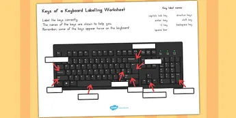 Technology Lesson Plans | twinkl.co.uk