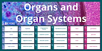 Biology Word Wall • Twinkl.com.au