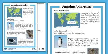 Antarctica Reading Activities | twinkl.co.uk