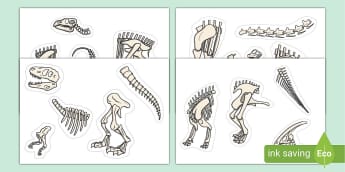 Dinosaur Worksheets | Primary Resources | Twinkl - Twinkl