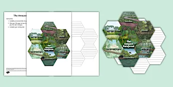 Amazon Rainforest Resources | twinkl.co.uk