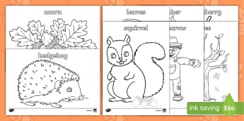 Understanding The World EYFS - ELG Activities - Twinkl