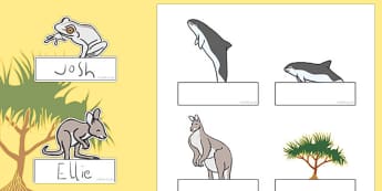 Resources for The Kangaroo and the Porpoise Dreaming Story