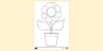 Plants and Flowers Colouring Pages - Twinkl
