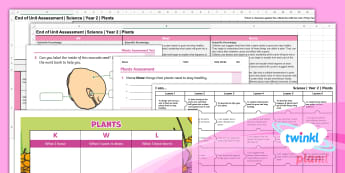 Plants - Year 2 Science Resources - Twinkl