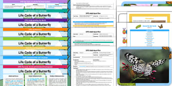 Life Cycles Early Years (EYFS), - Twinkl