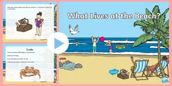 Beach PowerPoint Resources | twinkl.com.au