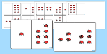 Ladybird Counting Activities | twinkl.co.uk