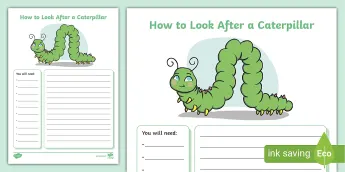 Caterpillar Life Cycles | twinkl.co.uk