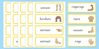 Body and Face - Te Reo Māori Resources - Years 3 - 4 - NZ