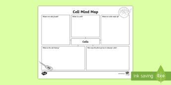 Cell Cycle Mind Maps | twinkl.com