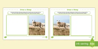 Sheep Art Activities | twinkl.co.uk