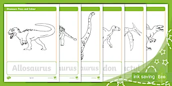 Fine Motor Skills | twinkl.co.uk