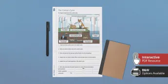Carbon Cycle Resources | twinkl.com.au