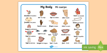 My Body Resources | twinkl.co.uk