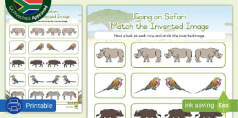 Going on Safari | Animal Theme for Preschool | South Africa