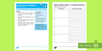 Expériences scientifiques - Sciences et technologie-Cycle 3