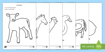 On the Farm - Worksheets and Farm Resources | KS1 - Twinkl