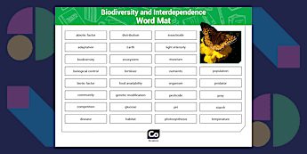 Biodiversity Resources | twinkl.co.uk